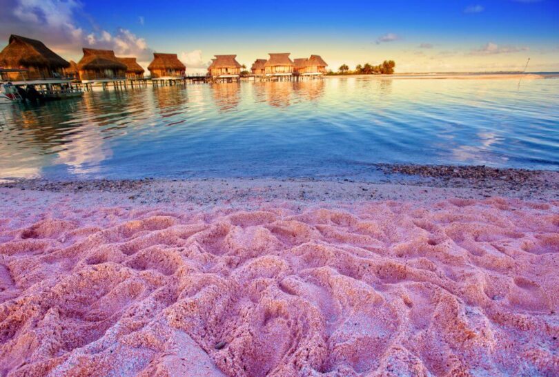 10 Stunning Pink Beaches Around the World 2024 - Beta Va'K'tion